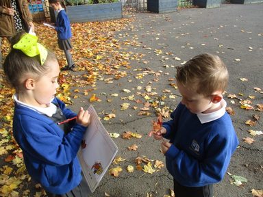 Autumn Poetry walk in Owls - Windy Nook Primary School