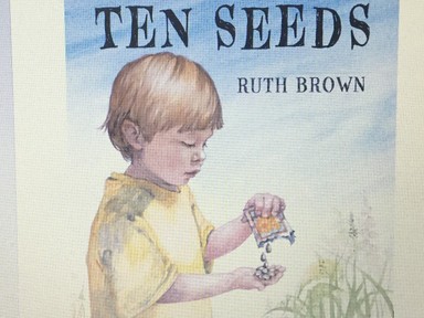 Ten Seeds! | Windy Nook Primary School