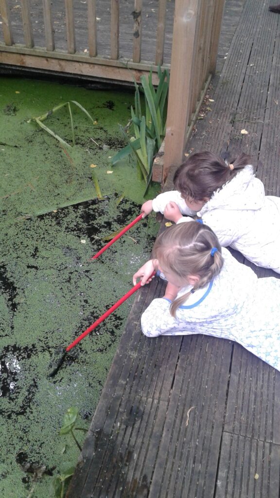 Pond Dipping | Windy Nook Primary School