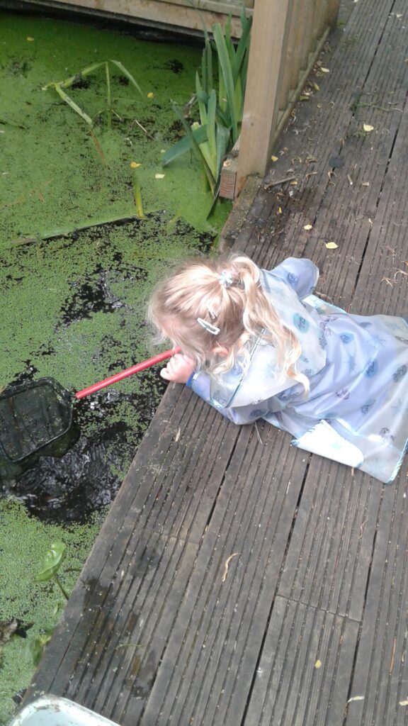 Pond Dipping | Windy Nook Primary School