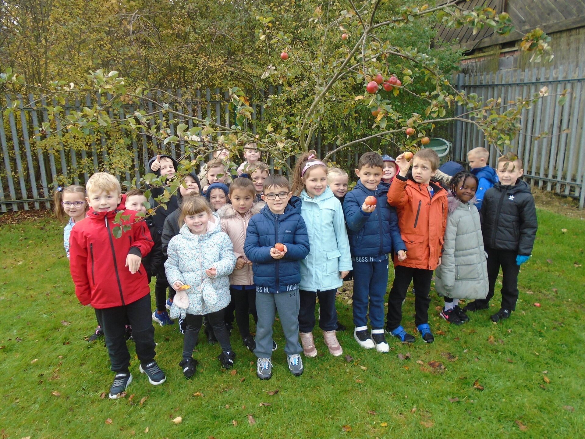 Signs of Autumn | Windy Nook Primary School