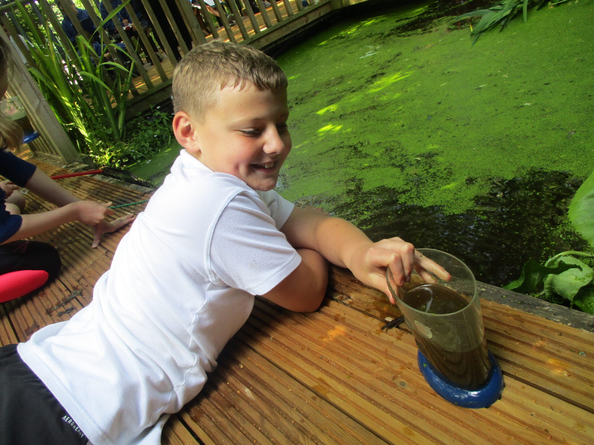 Beeches Visit the Revamped School Pond | Windy Nook Primary School
