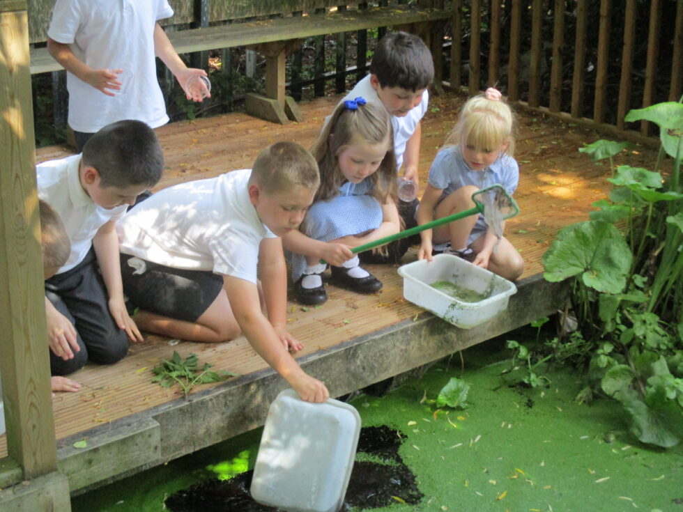 Nightingales go pond dipping! | Windy Nook Primary School