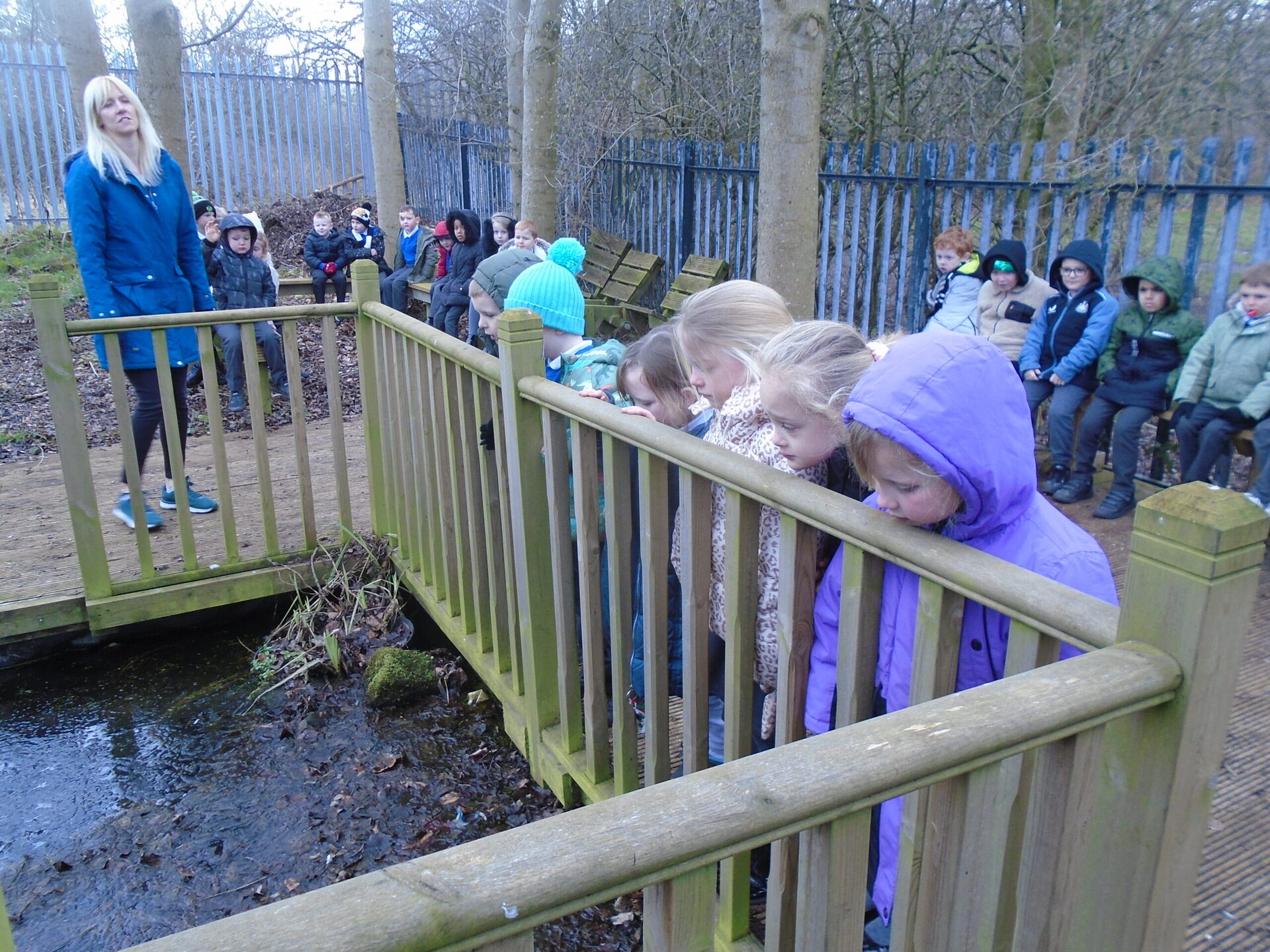 Pond habitats | Windy Nook Primary School