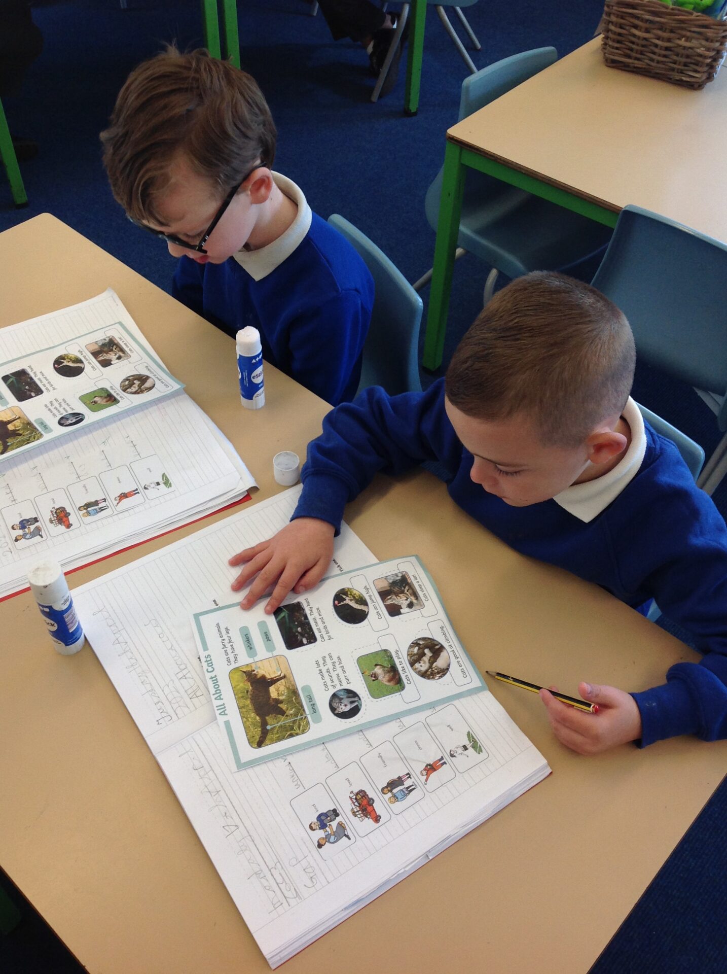 Understanding what a non-chronological report is | Windy Nook Primary ...