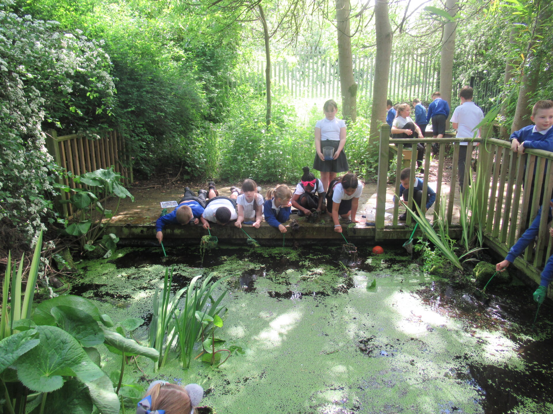 LKS2 Visit the Pond - Windy Nook Primary School