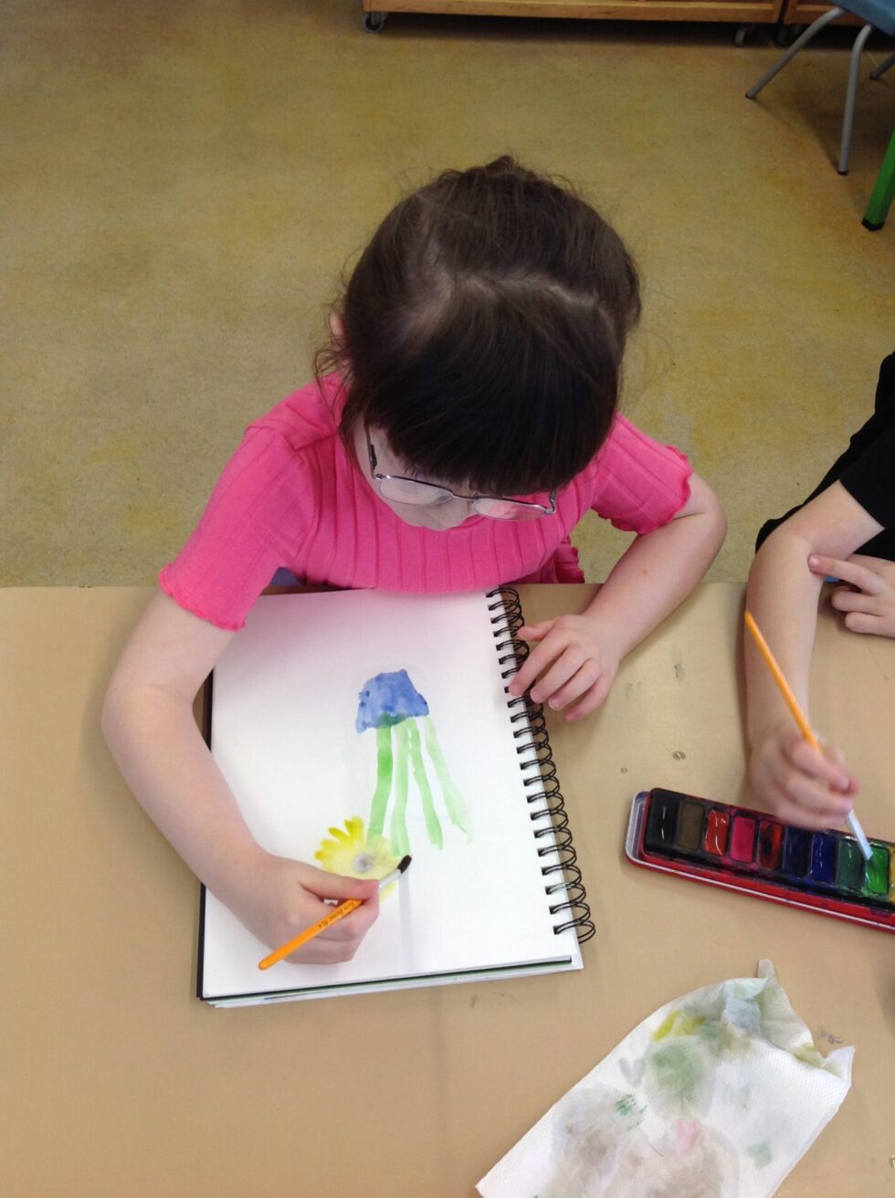 KS1 look at colour and pattern | Windy Nook Primary School