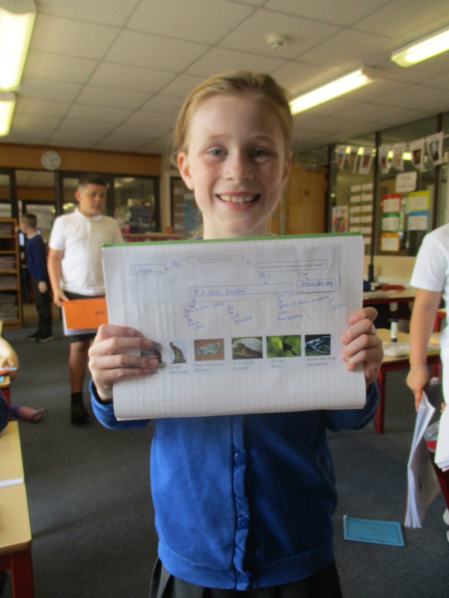 Identification Keys for Amazonian Animals in LKS2 | Windy Nook Primary School